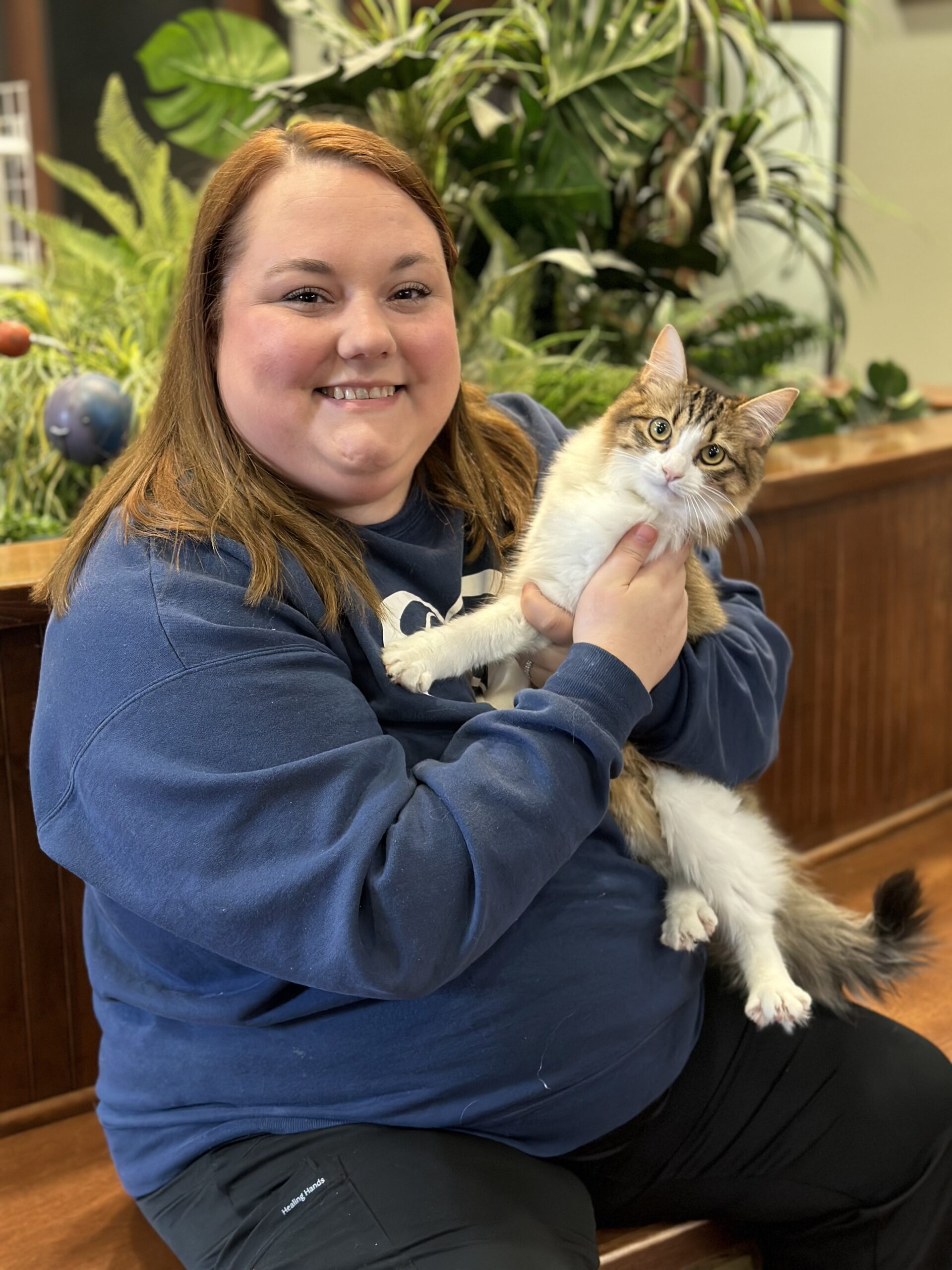 Our Care Team - Timber Ridge Animal Medical Center